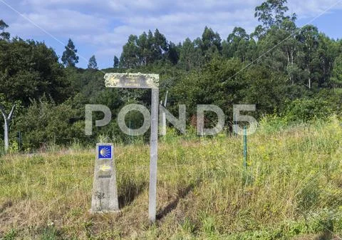 Way marker sign, that guides the pilgrims in the Camino de Santiago ...