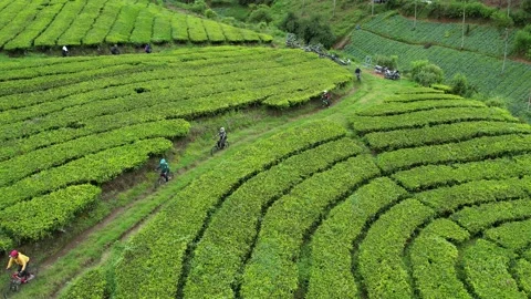 Wayang Windu Bike Park | Stock Video | Pond5