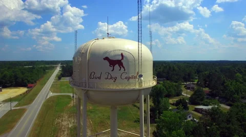 Wayneseboro Water Tower Bird Dog Capital | Stock Video | Pond5