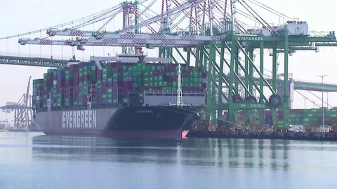 Nothing Filed Stock Videos – Royalty-Free HD & 4K Videos