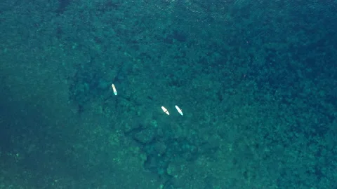 Stay Out Here Stock Videos – Royalty-Free HD & 4K Videos | Pond5