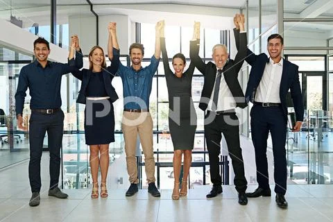 We make our success together. Portrait of a confident looking team of ...