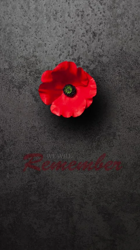 And Remember Th Stock Videos – Royalty-Free HD & 4K Videos