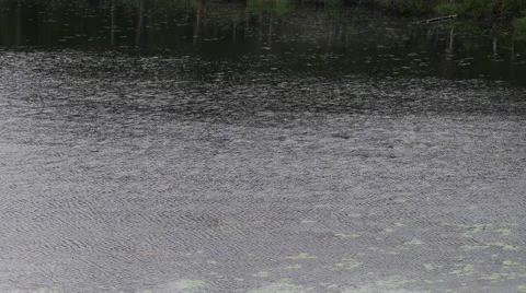 weak rain falling on lake water surface | Stock Video | Pond5