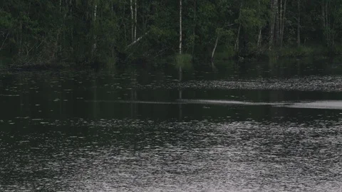 weak rain falling on lake water surface | Stock Video | Pond5