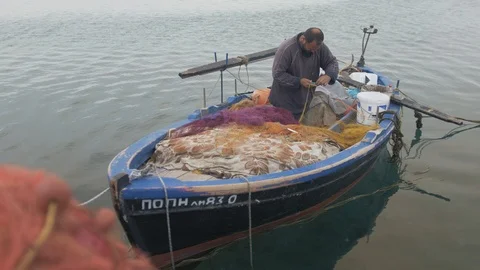 Net Net Net Stock Videos – Royalty-Free HD & 4K Videos