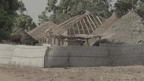Weaving the straw roof of the house | Stock Video | Pond5