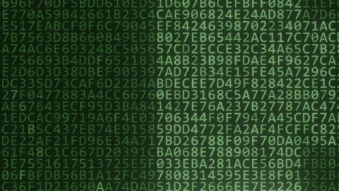 WEB text consisting of many symbols on c... | Stock Video | Pond5