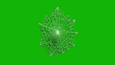 Spider Web Green Screen Stock Footage ~ Royalty Free Stock Videos | Pond5