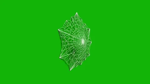 Spider Web Green Screen Stock Footage ~ Royalty Free Stock Videos | Pond5