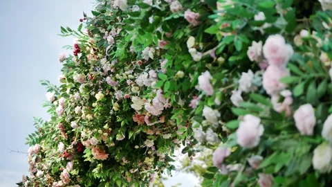 Pink Arch Backdrop Stock Videos – Royalty-Free HD & 4K Videos | Pond5