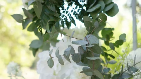 White Wedding Arch Stock Videos – Royalty-Free HD & 4K Videos | Page 3