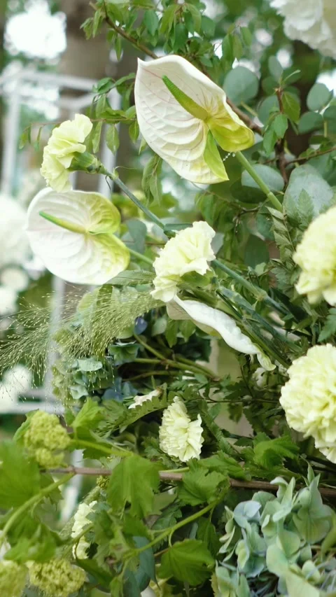 White Wedding Arch Stock Videos – Royalty-Free HD & 4K Videos | Page 5