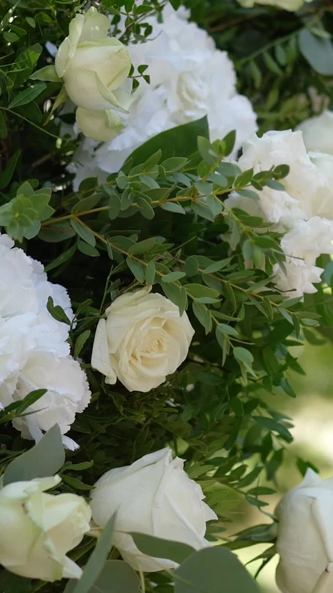 White Wedding Arch Stock Videos – Royalty-Free HD & 4K Videos | Page 2