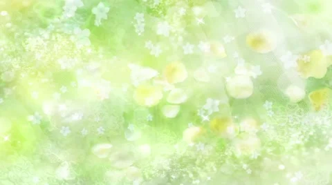 Wedding Environment Background Stock Videos – Royalty-Free HD & 4K Videos