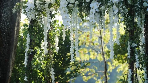 Wedding Environment Background Stock Videos – Royalty-Free HD & 4K Videos