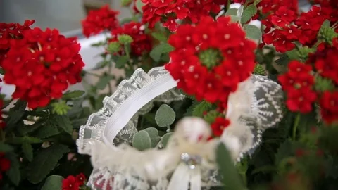 Red Garter Lingerie Stock Videos – Royalty-Free HD & 4K Videos