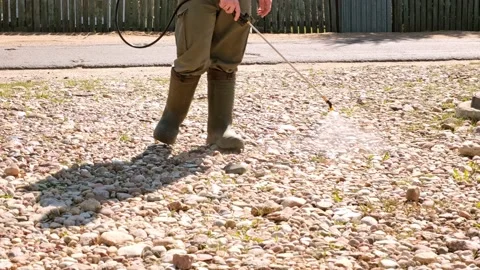Weed killer. A person is spraying stone ... | Stock Video | Pond5