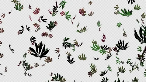 Trippy Weed Pattern