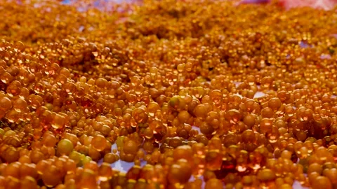 Weight loss process. fat burn in human t... | Stock Video | Pond5