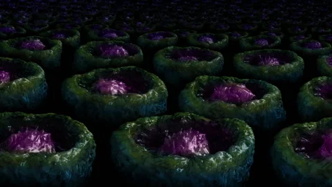 Weird Aliens In Pods Goofy Scifi Scene | Stock Video | Pond5