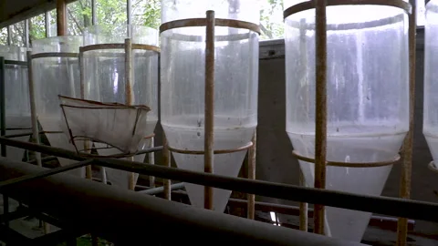 Weiss incubator glass flasks. Abandoned ... | Stock Video | Pond5