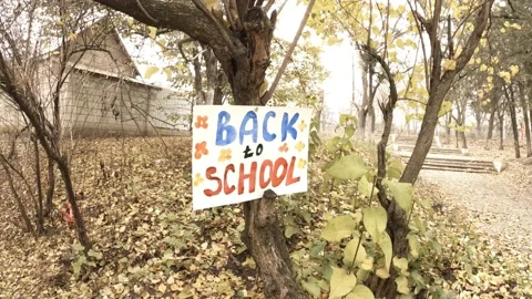 Welcome Back :D Stock Videos – Royalty-Free HD & 4K Videos | Page 5