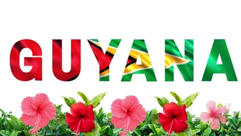 Welcome to Guyana Video | Stock Video | Pond5