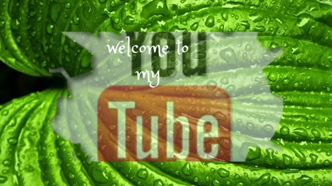 You Tube Videoa Stock Videos – Royalty-Free HD & 4K Videos | Pond5