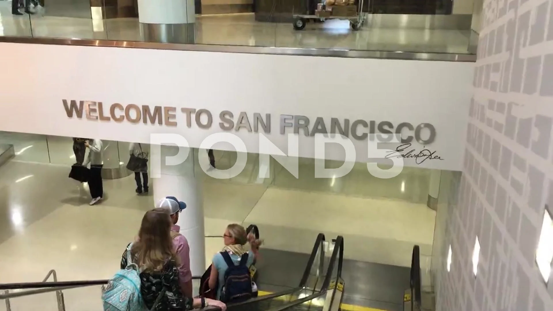 Are Dogs Allowed At San Francisco Airport