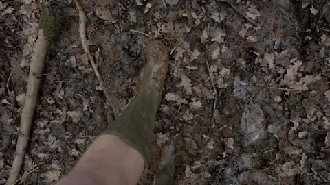 Sticky Feet Stock Footage ~ Royalty Free Stock Videos | Pond5