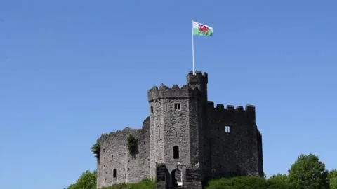 Welsh national flag on Cardiff castle on... | Stock Video | Pond5