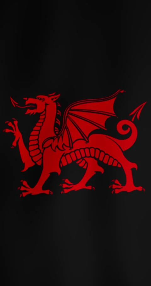 Dragon On Flag Stock Videos – Royalty-Free HD & 4K Videos | Pond5