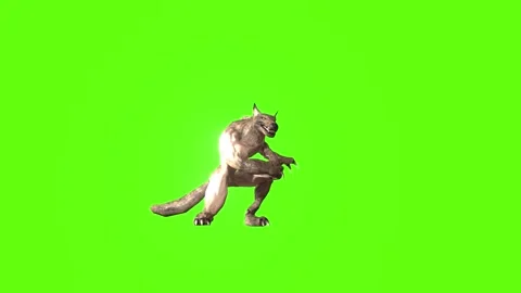 Werewolf attack Green screen animation 3... | Stock Video | Pond5
