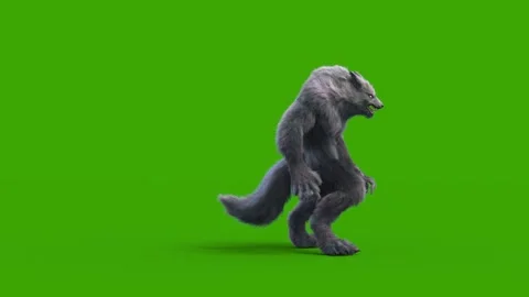 Werewolf Dark Fur Green Screen Die Side ... | Stock Video | Pond5