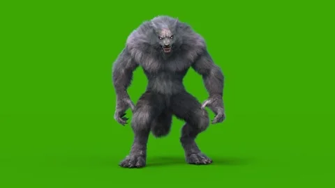 Werewolf Dark Fur Green Screen Idle Fron... | Stock Video | Pond5