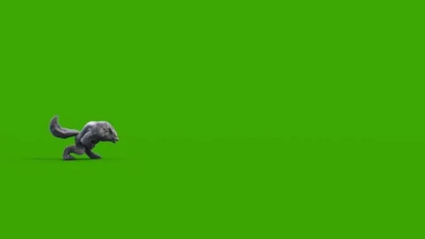 Werewolf Dark Fur Green Screen Runs Side... | Stock Video | Pond5
