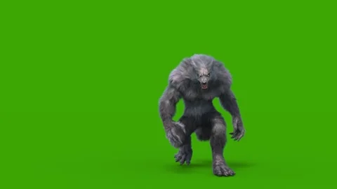 Werewolf Dark Fur Green Screen Walks Fro... | Stock Video | Pond5