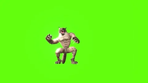 Werewolf getting attacked Green screen a... | Stock Video | Pond5
