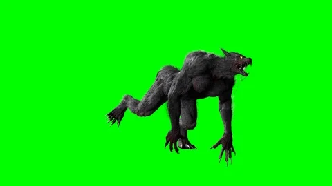 werewolf on a green background 3D render | Stock Video | Pond5