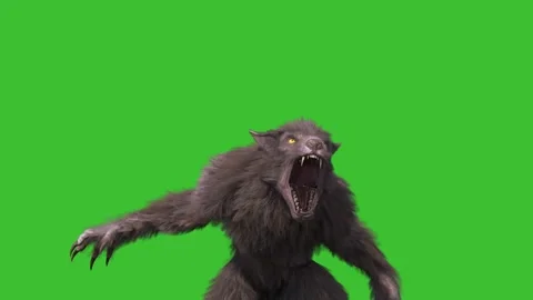 Werewolf Real Fur Green Screen Howls 3D ... | Stock Video | Pond5