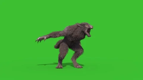 Werewolf Real Fur Green Screen Howls Fro... | Stock Video | Pond5