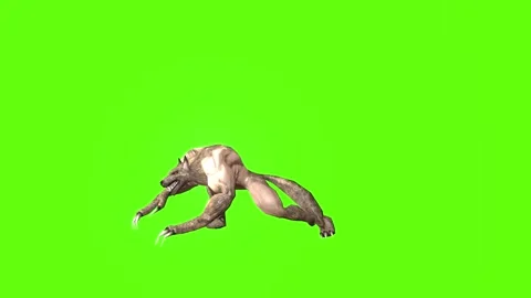 Werewolf walking Green screen animation ... | Stock Video | Pond5