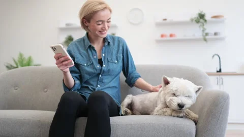 Westie enjoying woman's scratching while... | Stock Video | Pond5