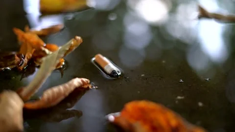 Wet cigarette butt in water puddle with ... | Stock Video | Pond5
