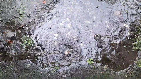 Wet Earth Stock Footage ~ Royalty Free Stock Videos | Pond5