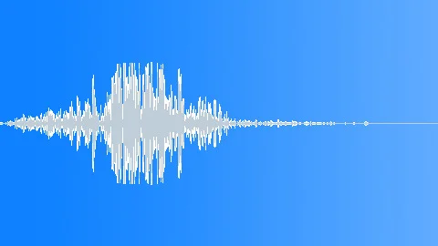 Sound Effect: Wet Splat, Gore Sound, Single Impact, Blood Squirt, Enemy ...