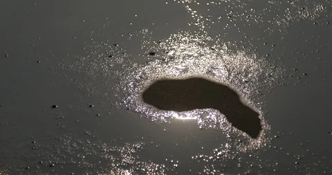 Wet Tar Road Texture | Stock Video | Pond5