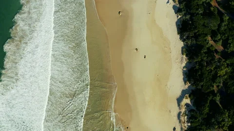 Always Movi Stock Videos – Royalty-Free HD & 4K Videos