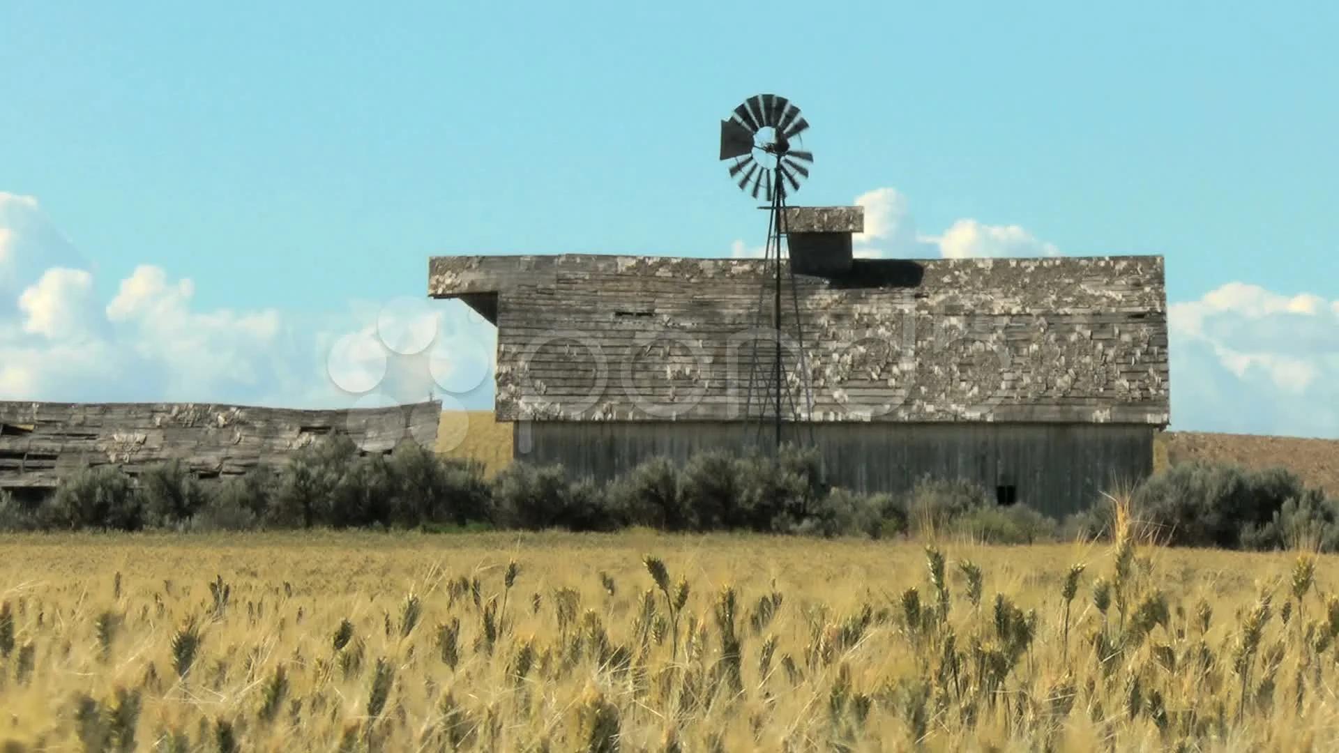 Texas Windmills Old Barn The Barn Layouts And Layout Building